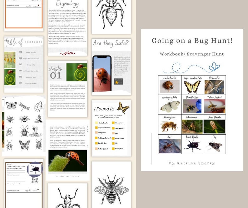 Bug Hunt Scavenger Unit Study - Etsy
