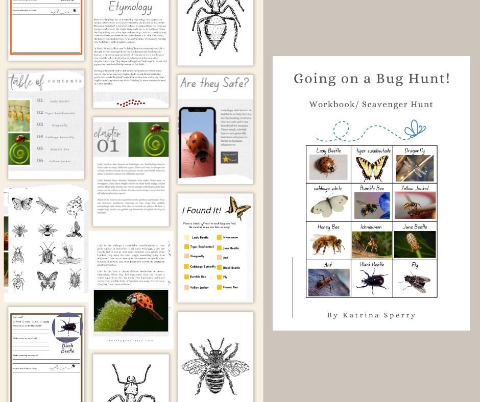 Bug Hunt Scavenger Unit Study - Etsy