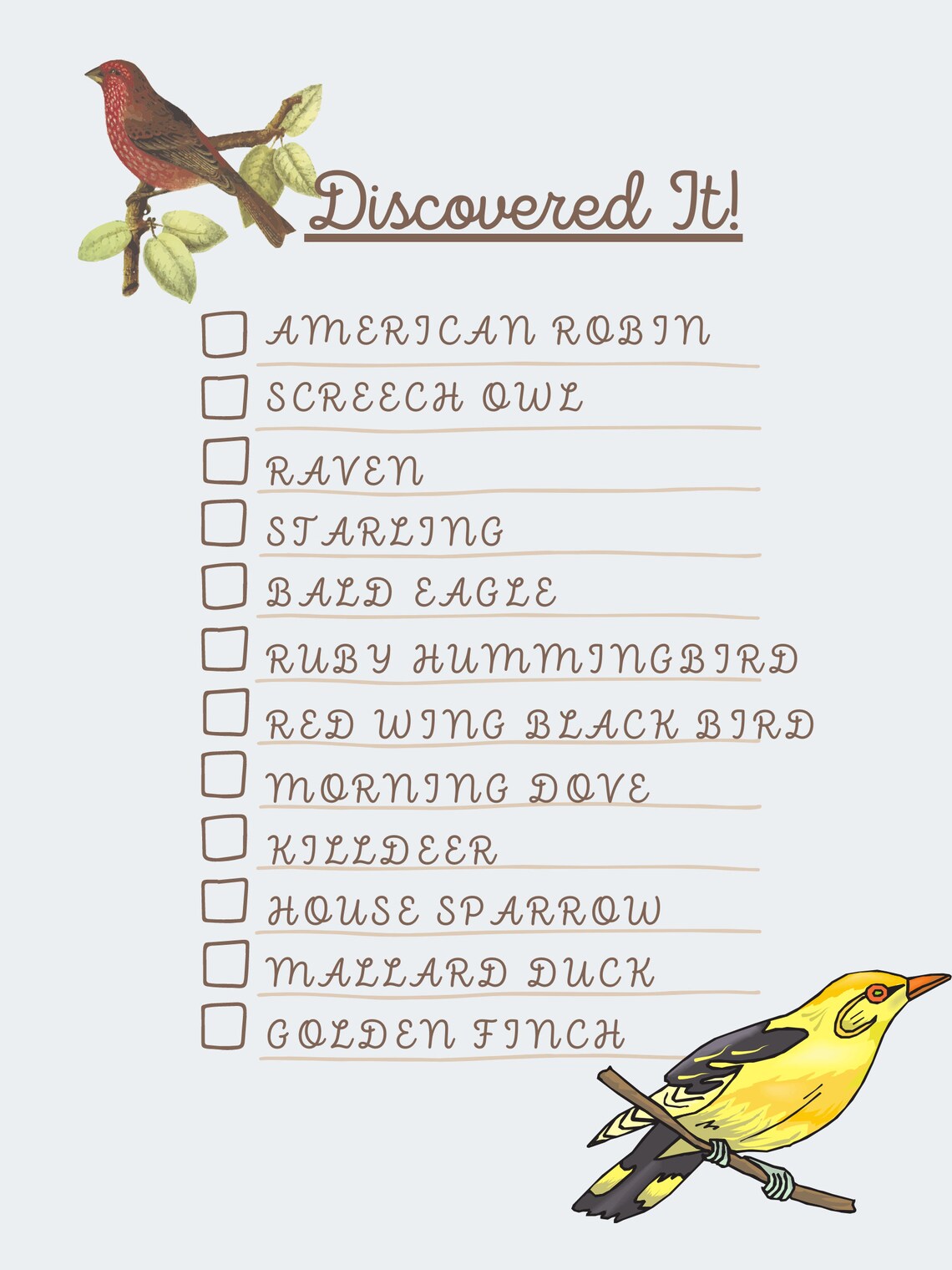 Bird Field Guide and Homeschool Workbook - Etsy