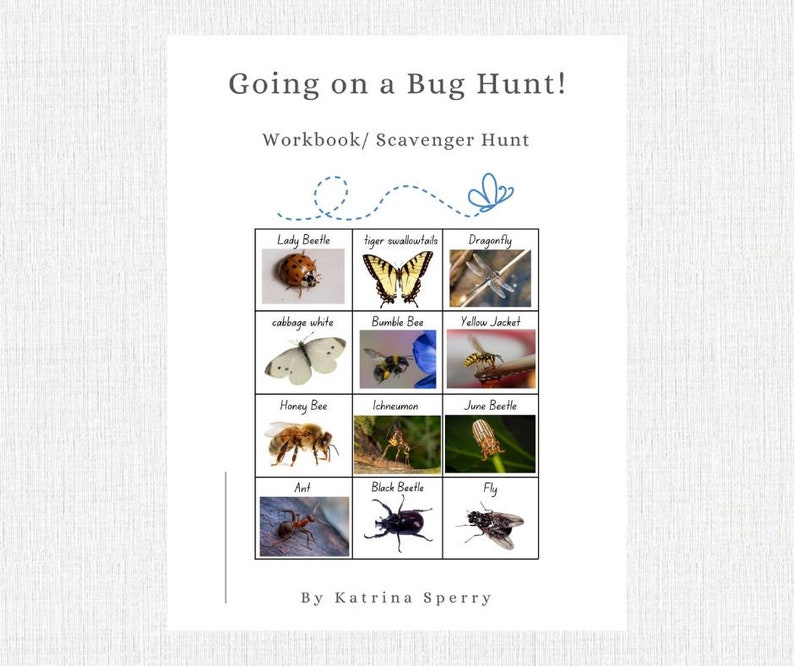 Bug Hunt Scavenger Unit Study - Etsy
