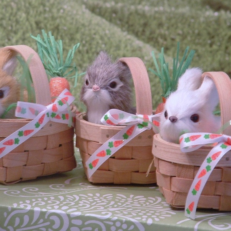 American Girl Pet - Etsy