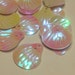 15 LARGE Iridescent Sea Shell Sequins / Confetti , 17 X 20 Mm (18) - Etsy