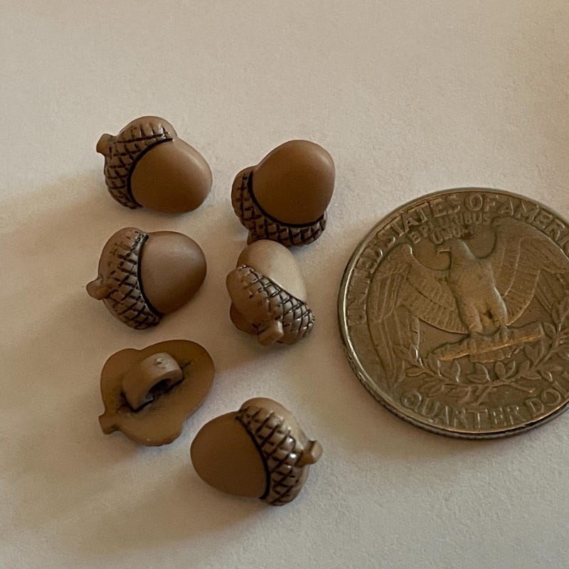 Acorn Button - Etsy