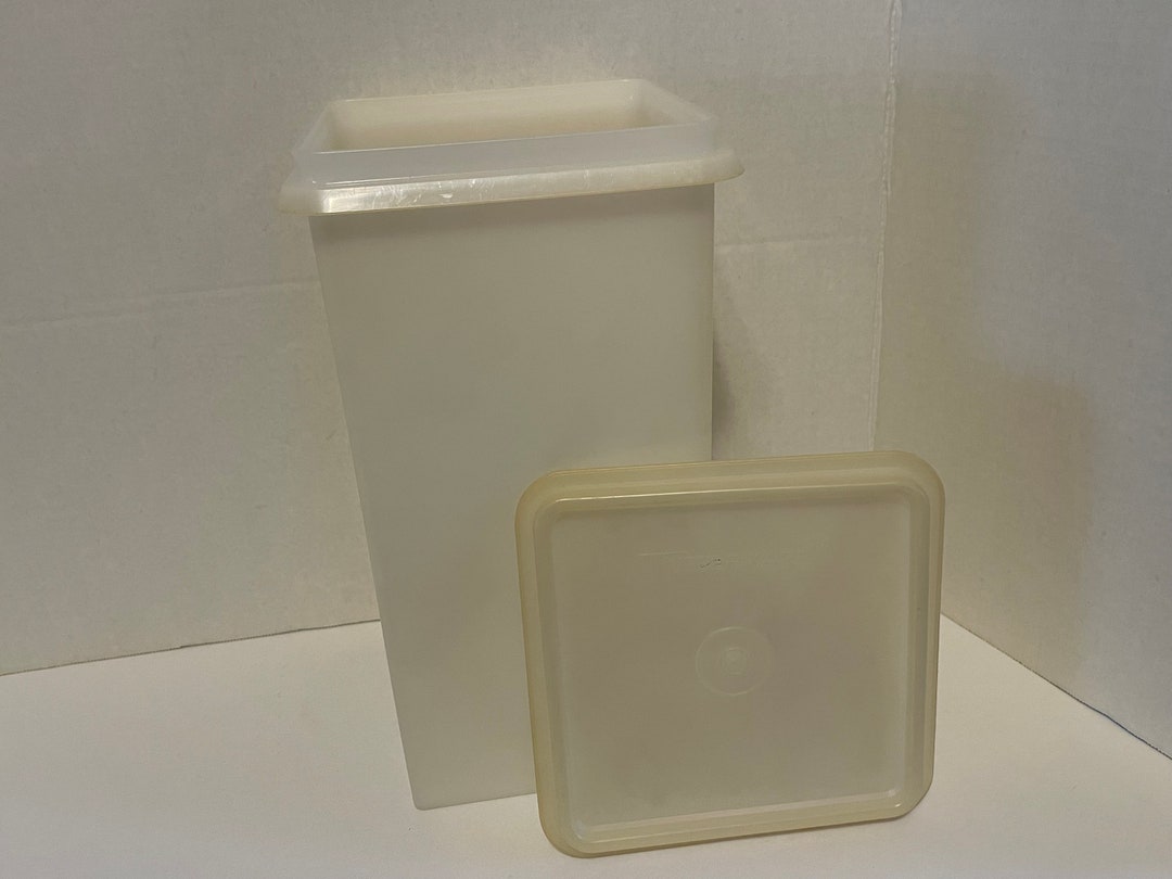 Tupperware LARGE Freeze and Store Container Pre-owned - Etsy