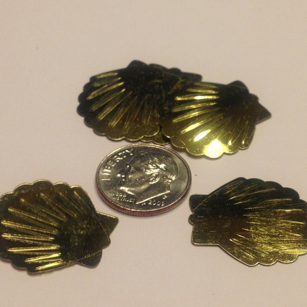 Large Sea Shell - Etsy