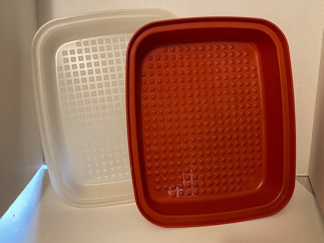 Tupperware Meat Fish Marinade Keeper Brown Color - Etsy