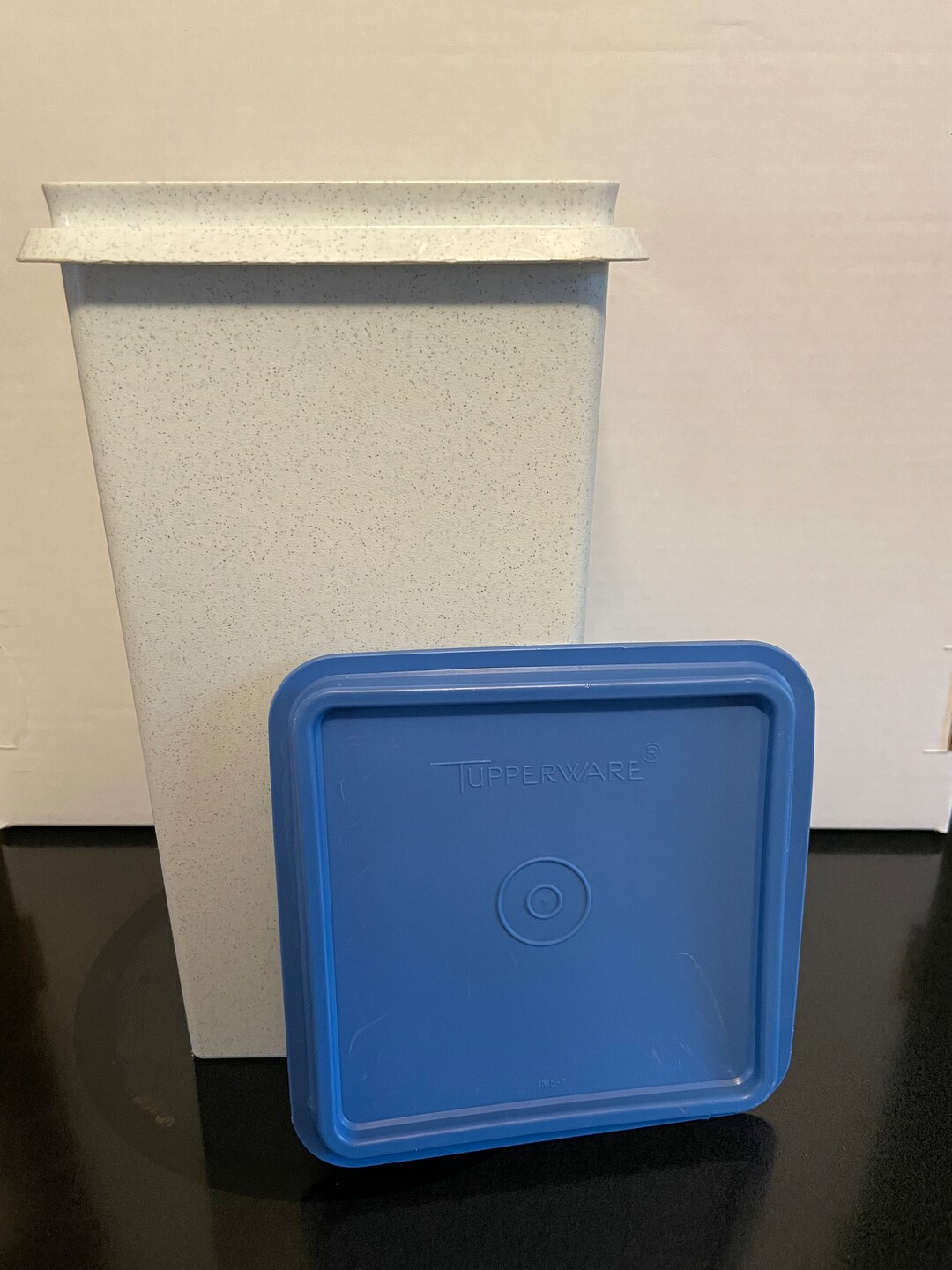 Tupperware LARGE Freeze and Store Container Pre-owned - Etsy