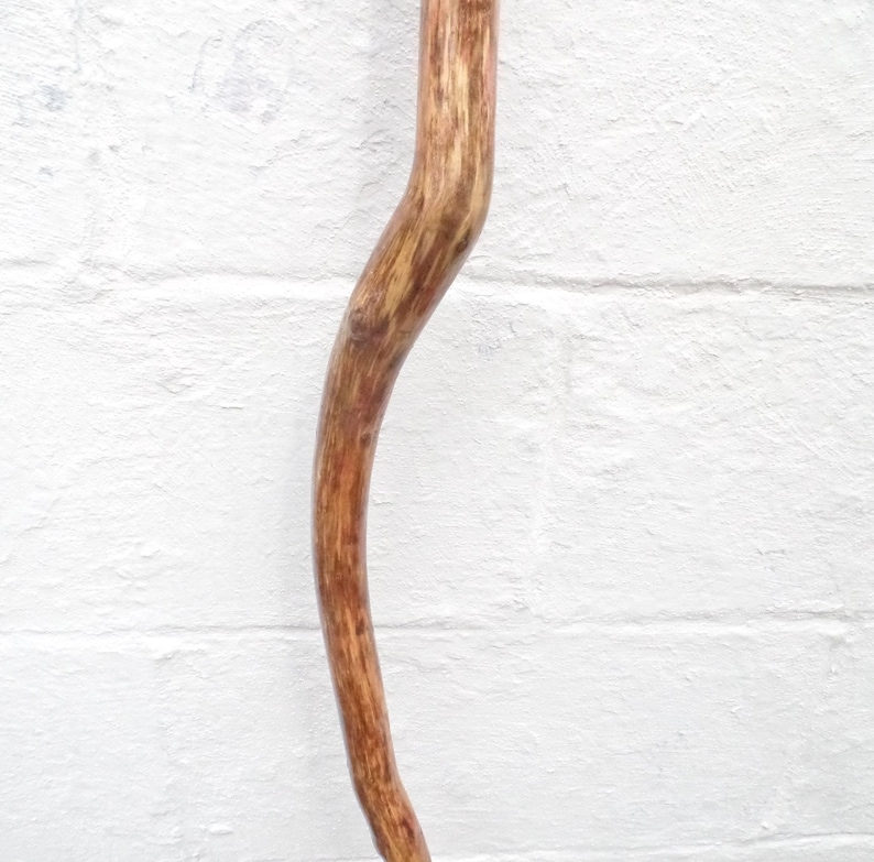 Curved Wood Walking or Hiking Stick or Staff Number 5 Wood | Etsy