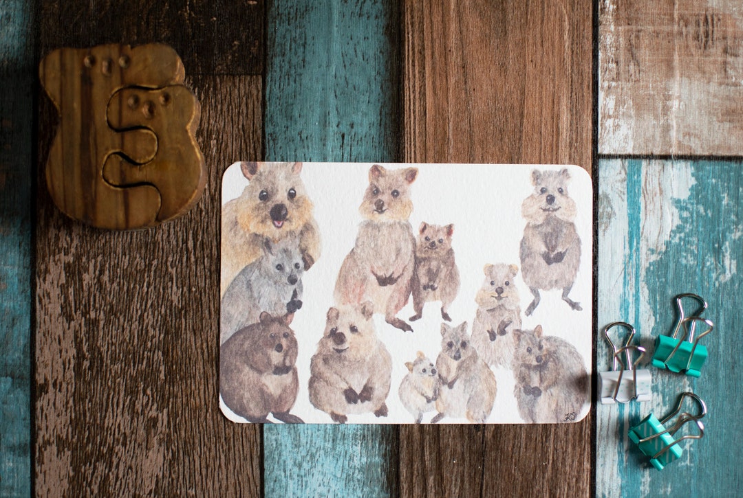 Sharks, Quokkas & Kookaburras 3 Options of Australian Animal ...