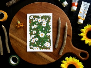 Travel Postcards, Postcrossing Postcards, Snail Mail, Pen Pal, Bookmark ...