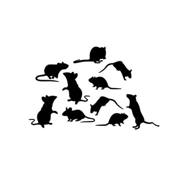 Vinyl Cut Out - Etsy