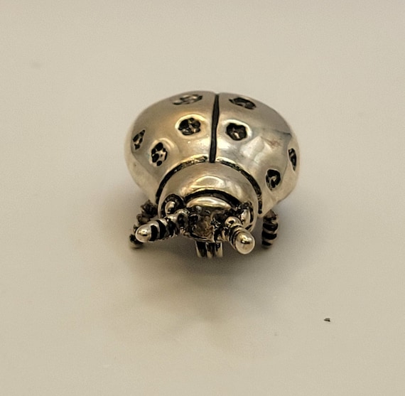 Vintage Sterling Silver Ladybug Pin Detailed Silver… Gem