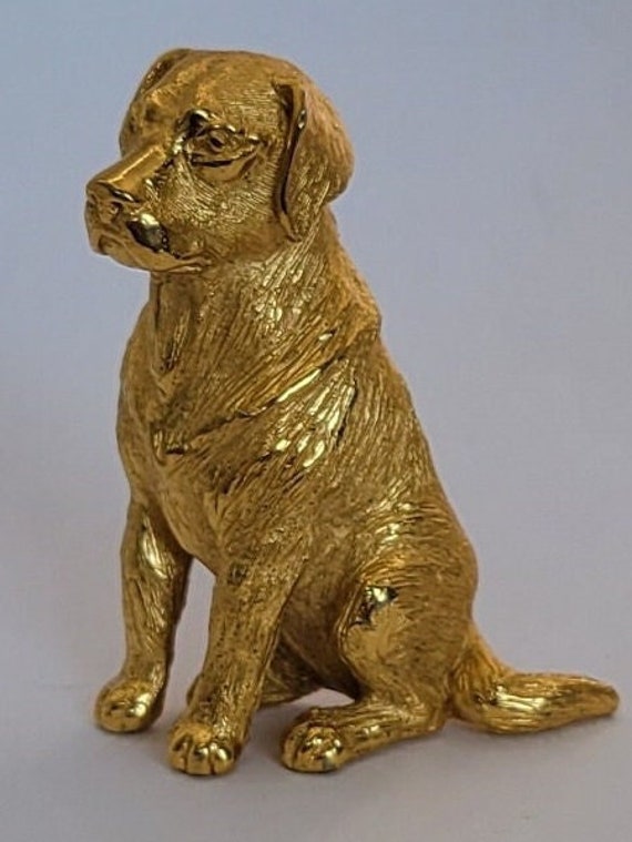 Labrador v1 cute dog - Gem