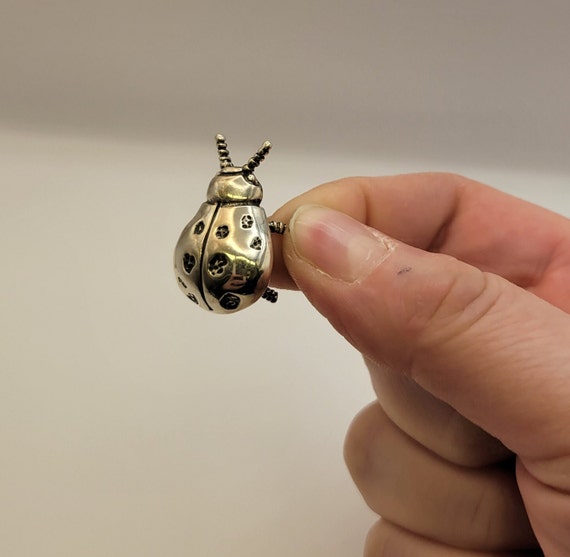 Vintage Sterling Silver Ladybug Pin - Detailed Silver… - Gem
