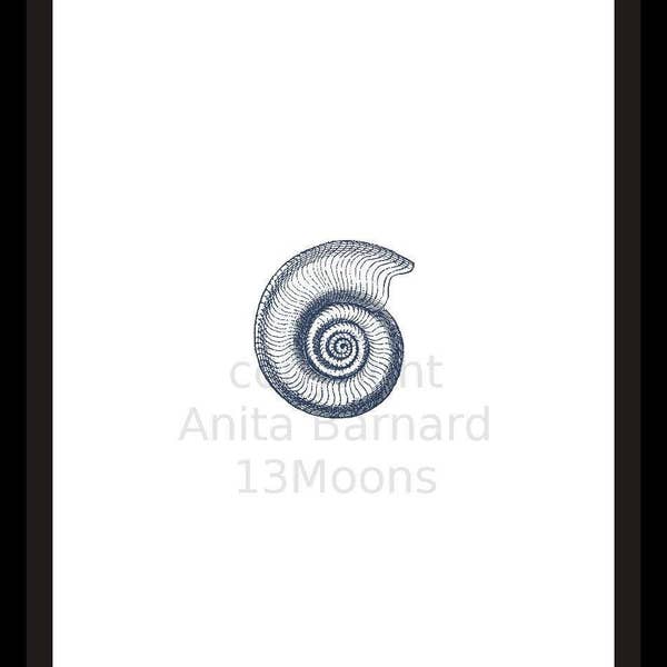 Navy Seashell Art - Etsy