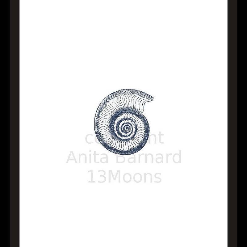 Navy Seashell Art - Etsy