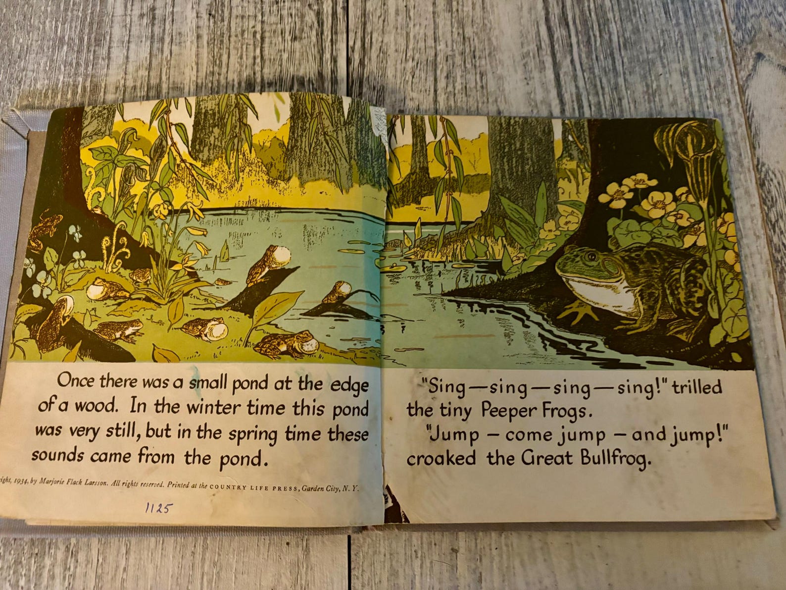 Vintage Tim Tadpole and the Great Bullfrog Hardcover – 1952 Children’s ...