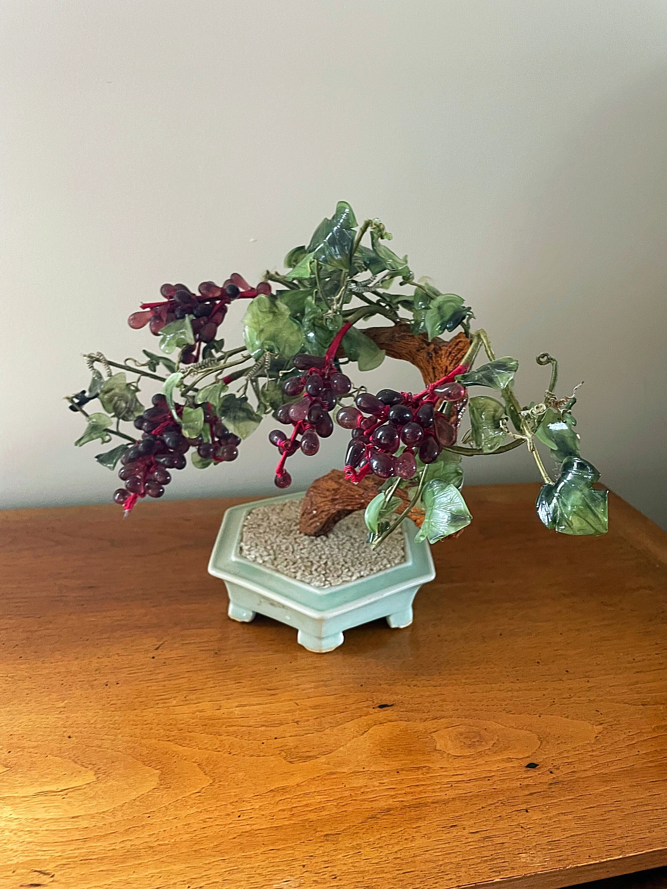 Grape Bonsai
