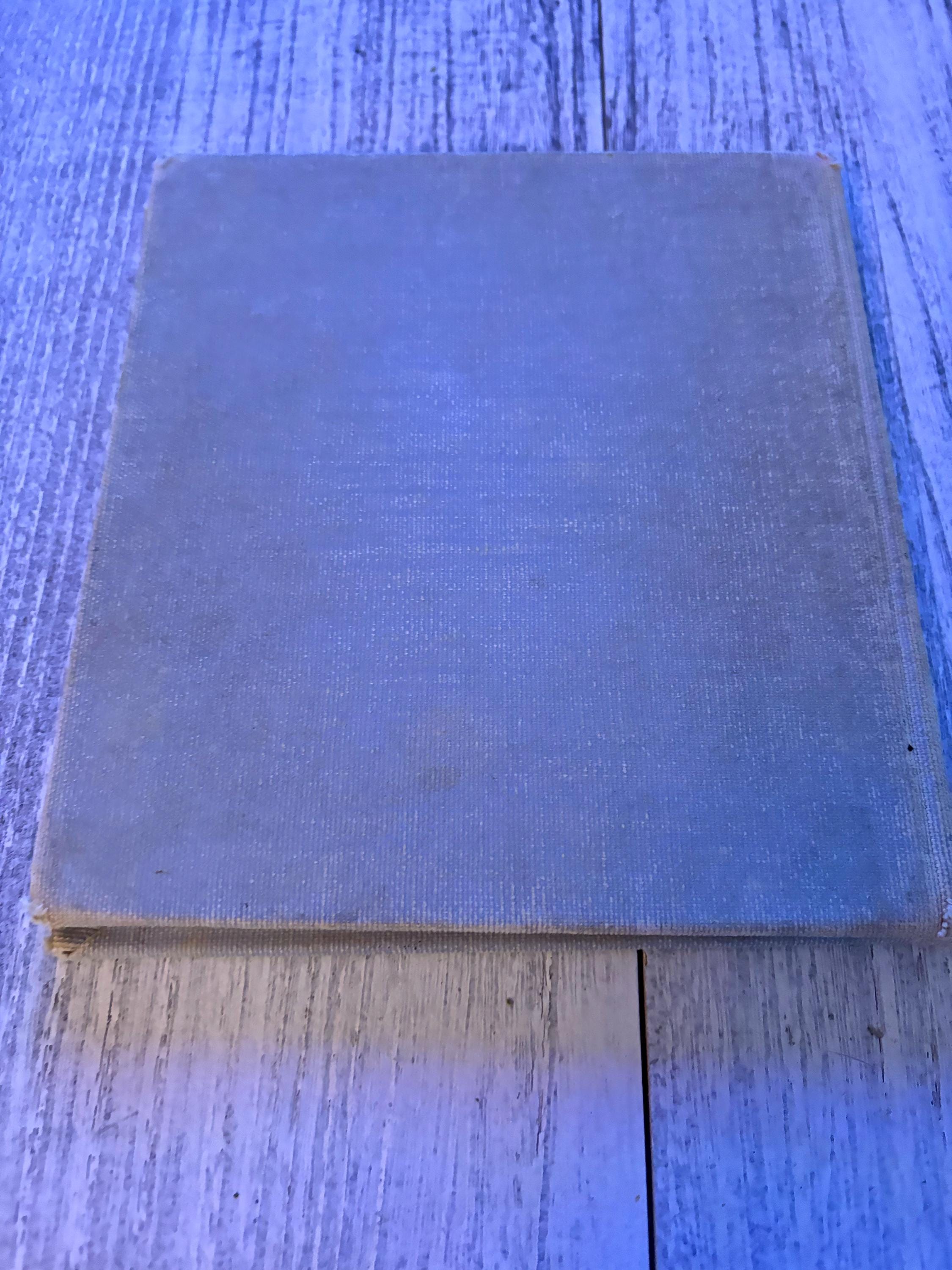 Vintage Tim Tadpole and the Great Bullfrog Hardcover – 1952 Children’s ...