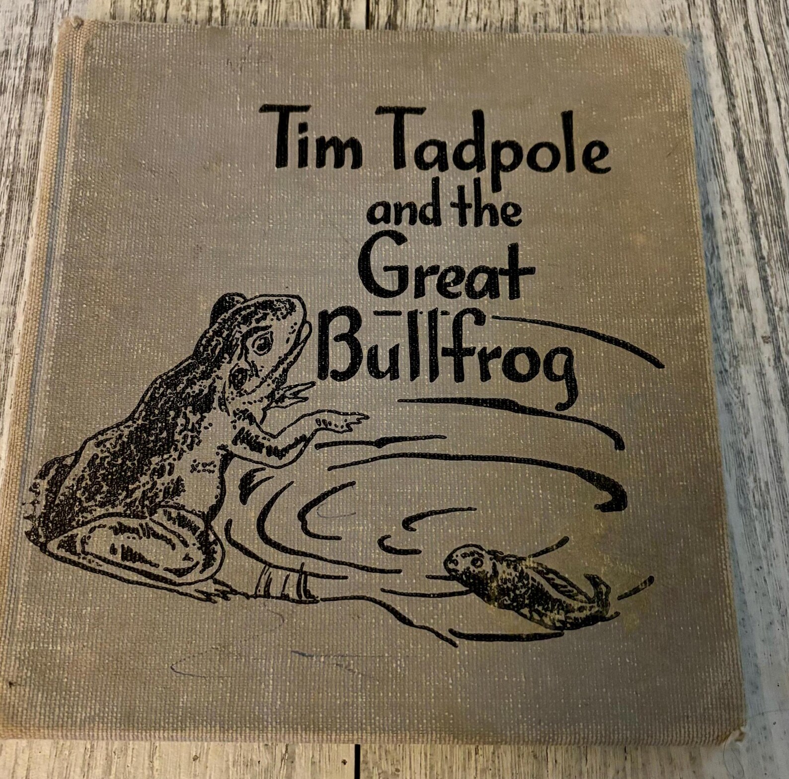 Vintage Tim Tadpole and the Great Bullfrog Hardcover - 1952 -marjorie ...