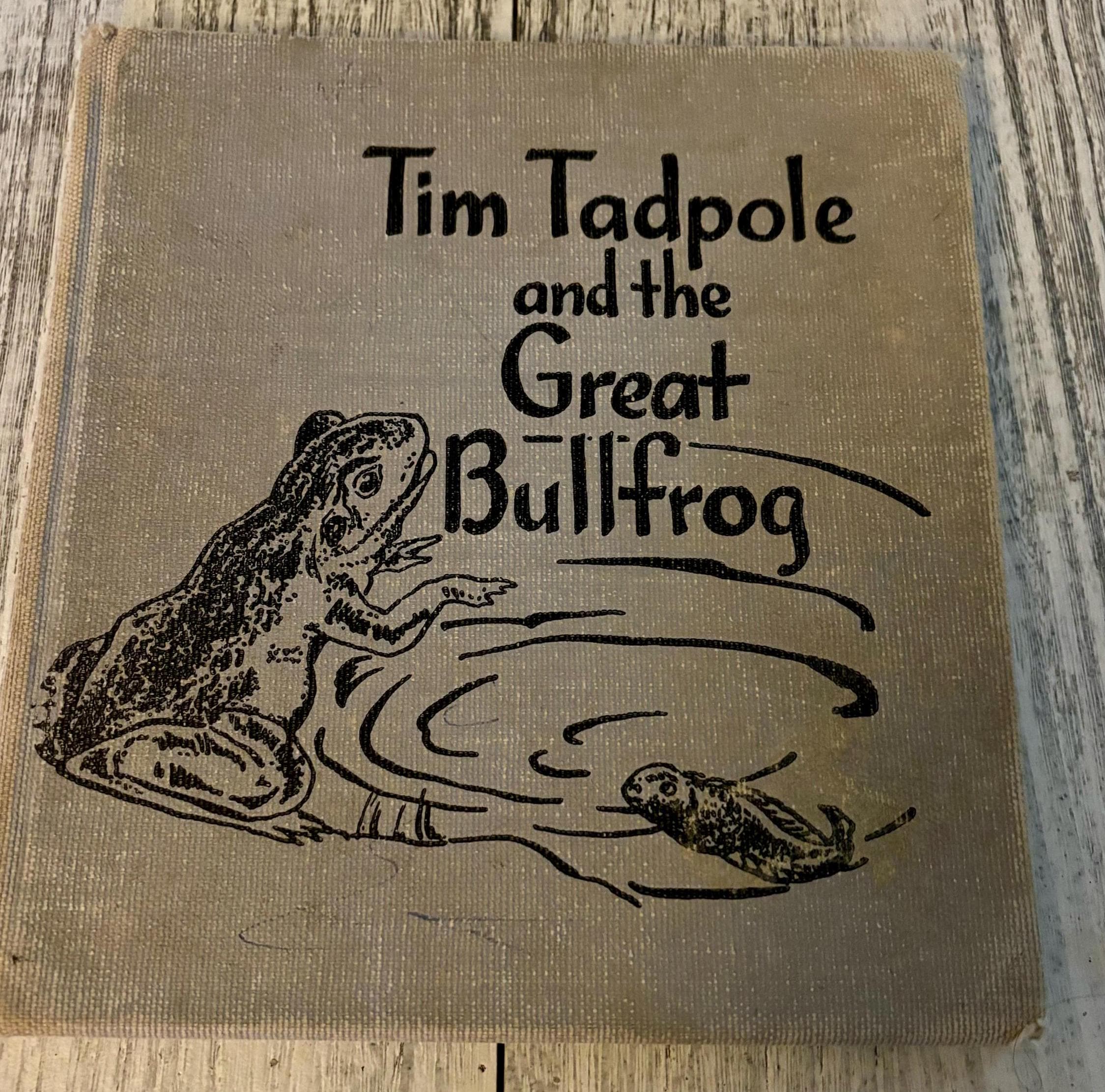 Vintage Tim Tadpole and the Great Bullfrog Hardcover – 1952 Children’s ...