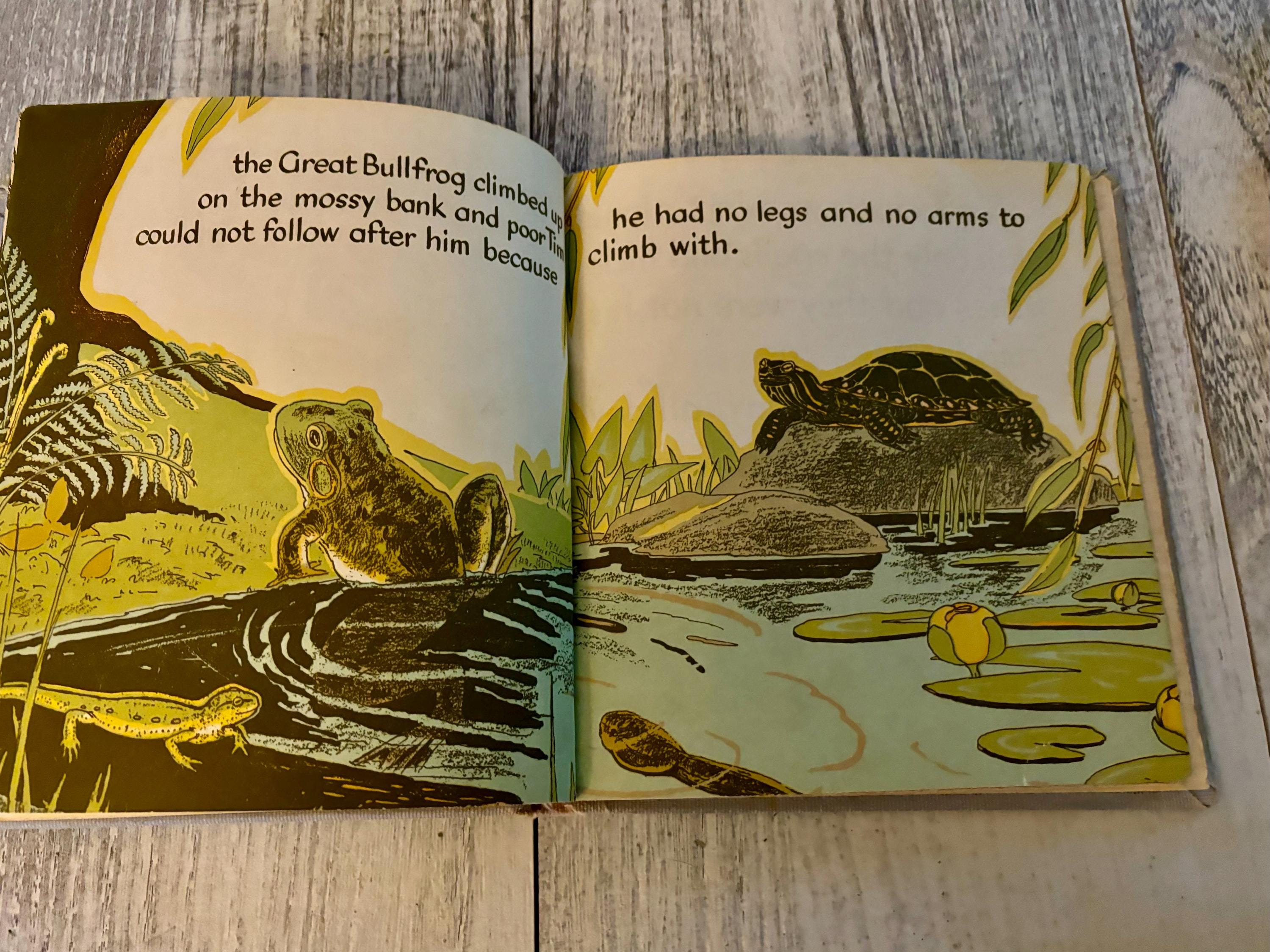 Vintage Tim Tadpole and the Great Bullfrog Hardcover – 1952 Children’s ...