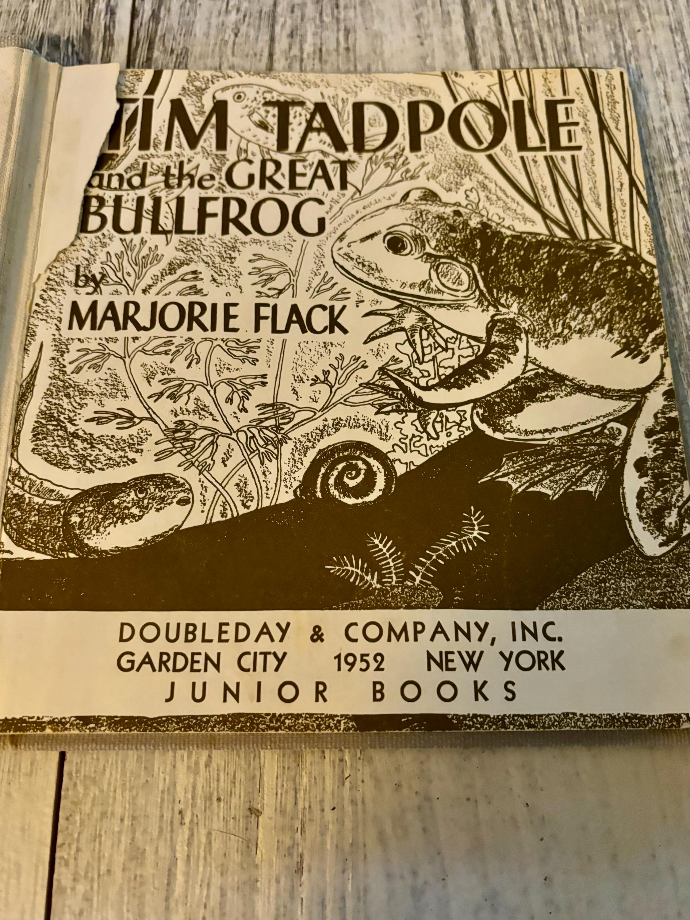 Vintage Tim Tadpole and the Great Bullfrog Hardcover – 1952 Children’s ...