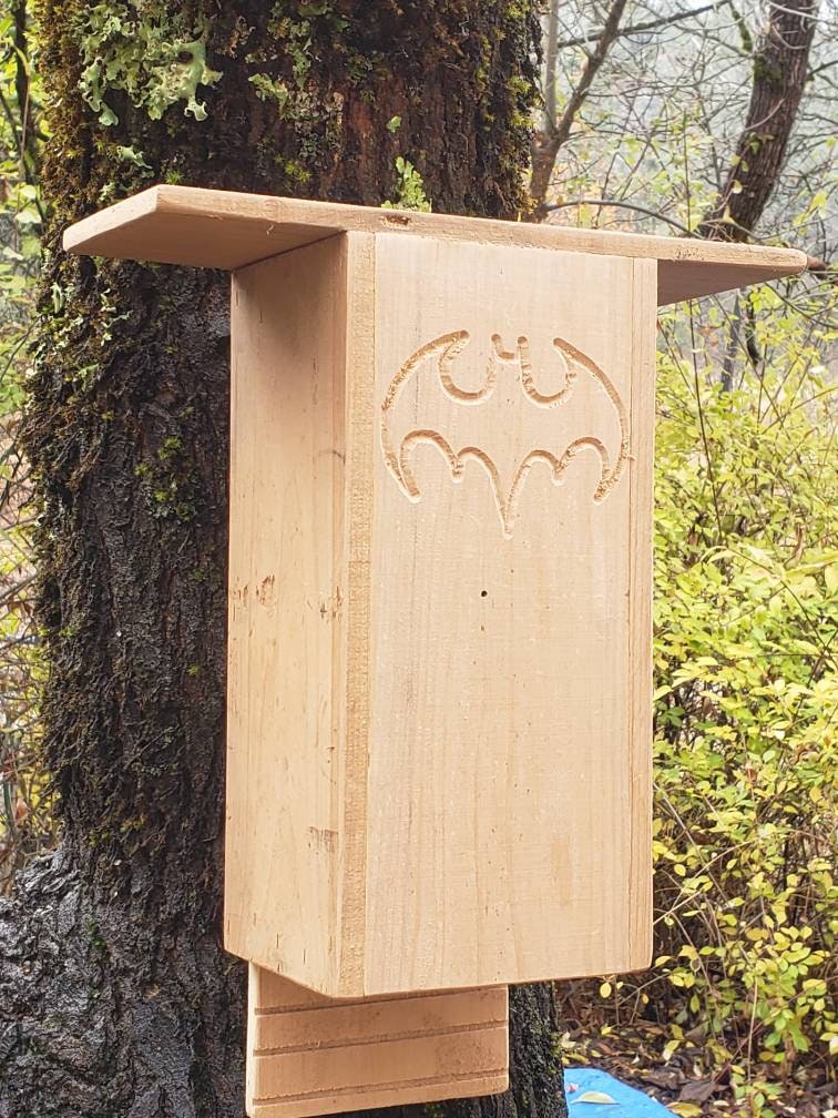 Bat House - Etsy