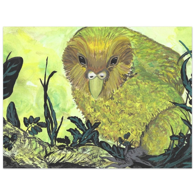 Kakapo classic Semi-glossy Poster - Etsy