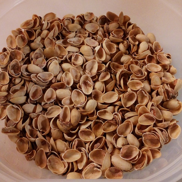 Pistachio Shells - Etsy