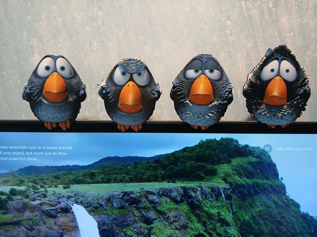 For the Birds Monitor Pals / Set of Four - Etsy