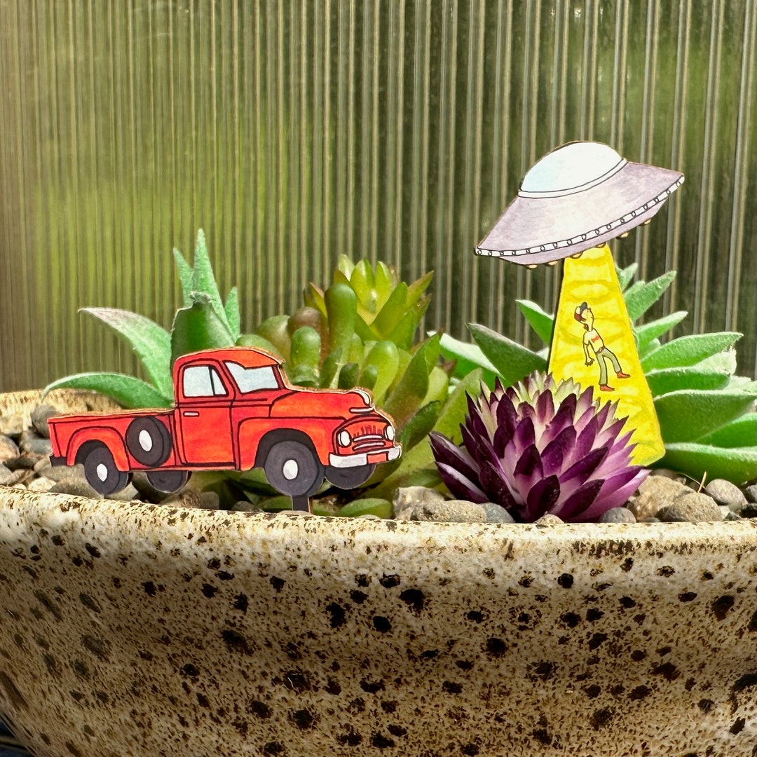 UFO Abduction Fancy Plants Diorama Kit - Etsy