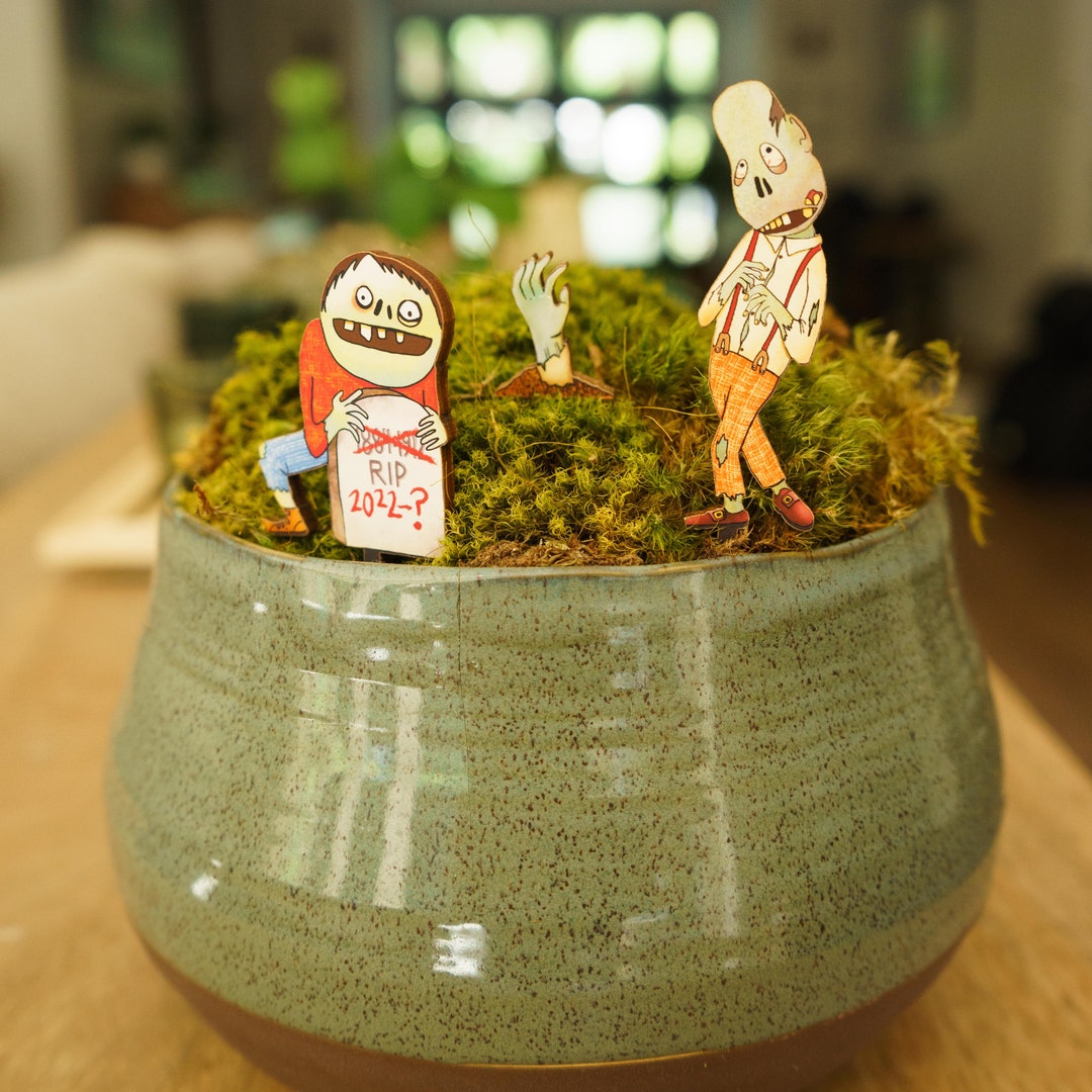 Zombies Fancy Plants Diorama Kit - Etsy