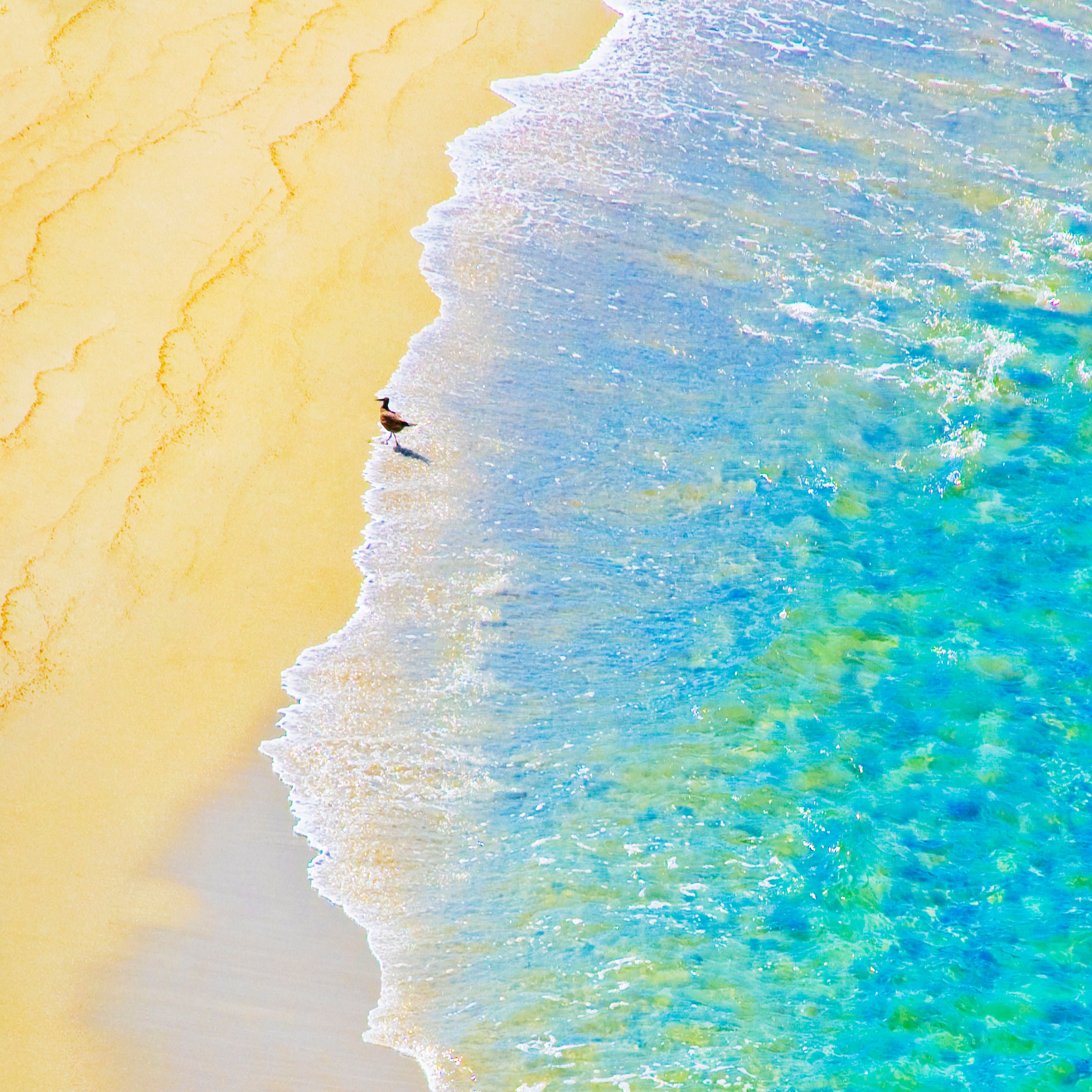 Set of 2 Wall Art by Bruce Burr, Minimalist Print, Fine Art Photography ...