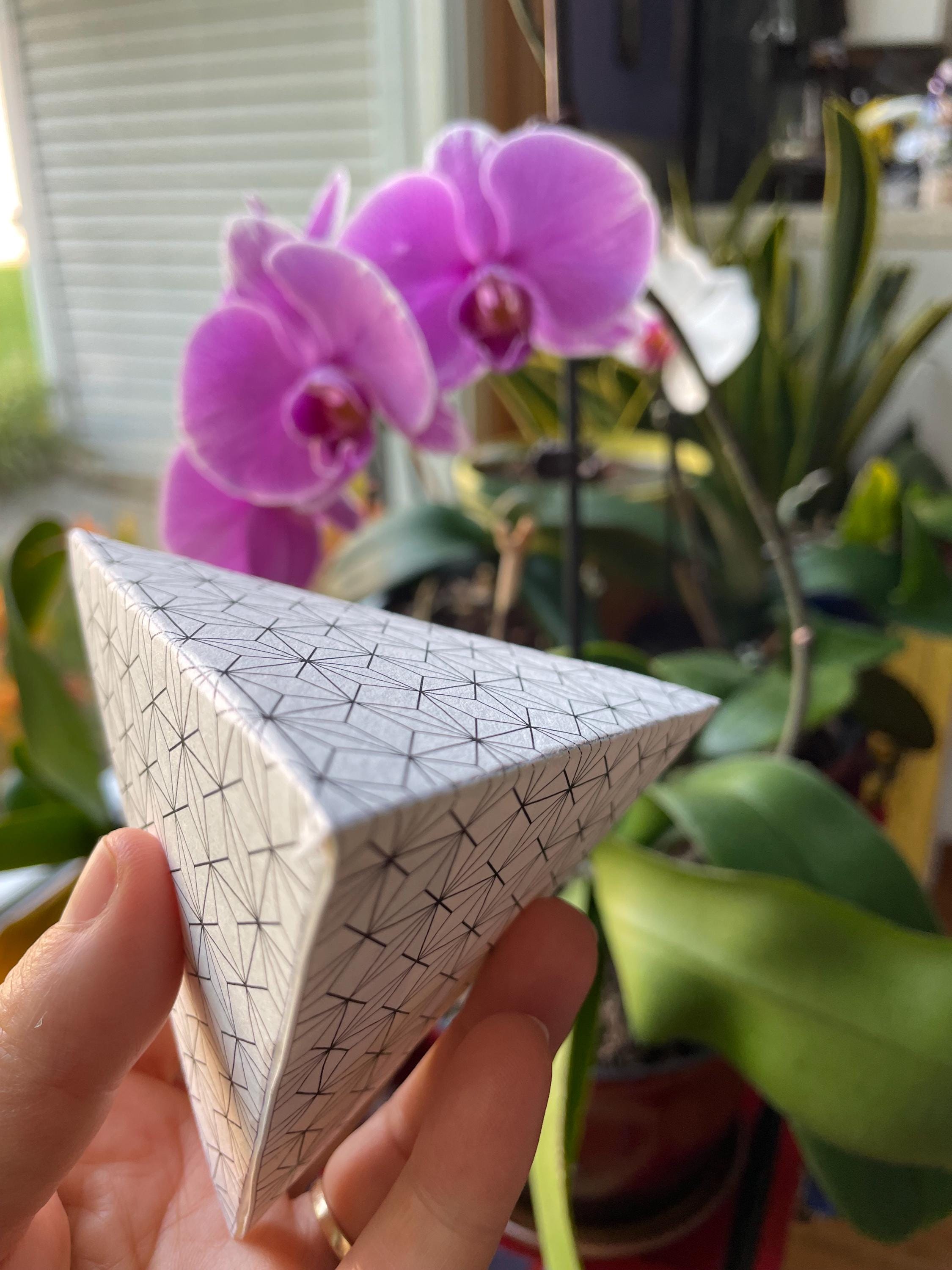 Tetrahedron Platonic Solids Paper Craft 3D Model-diy Template-stars ...