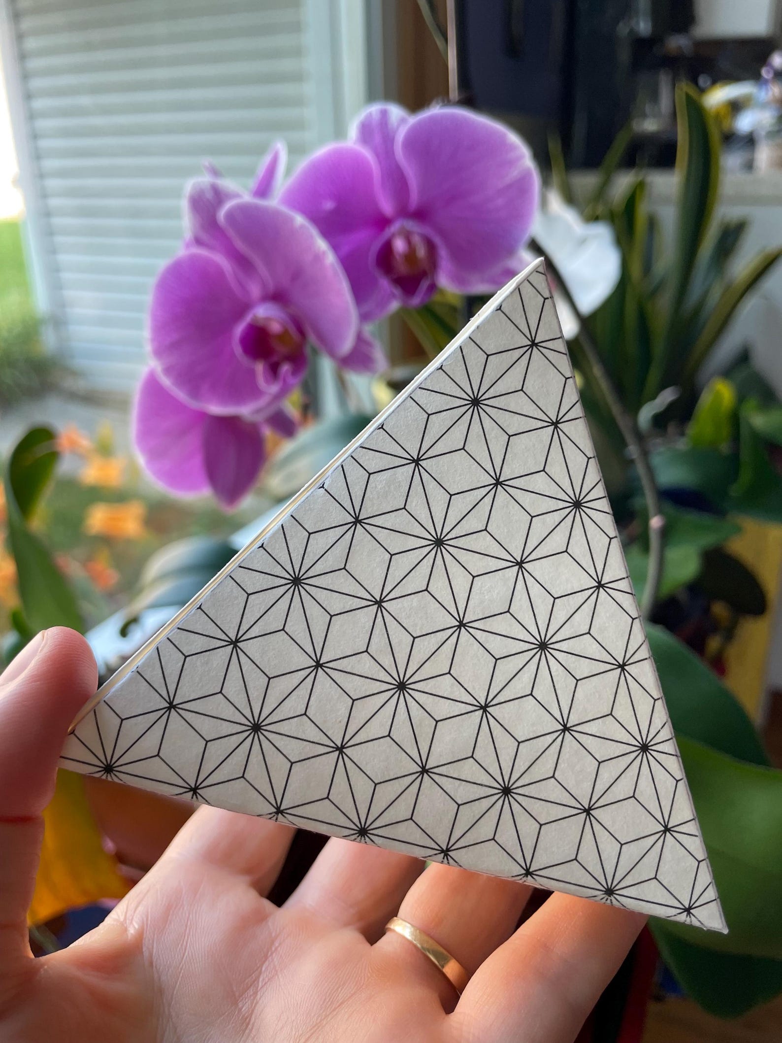 Tetrahedron Platonic Solids Paper Craft 3D Model-diy Template-stars ...