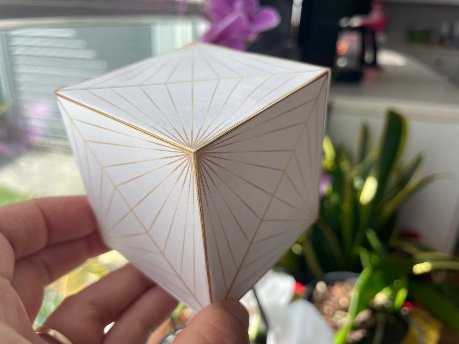Hexahedron 3D Cube Papercraft Template Pdf-platonic Solids-printable ...