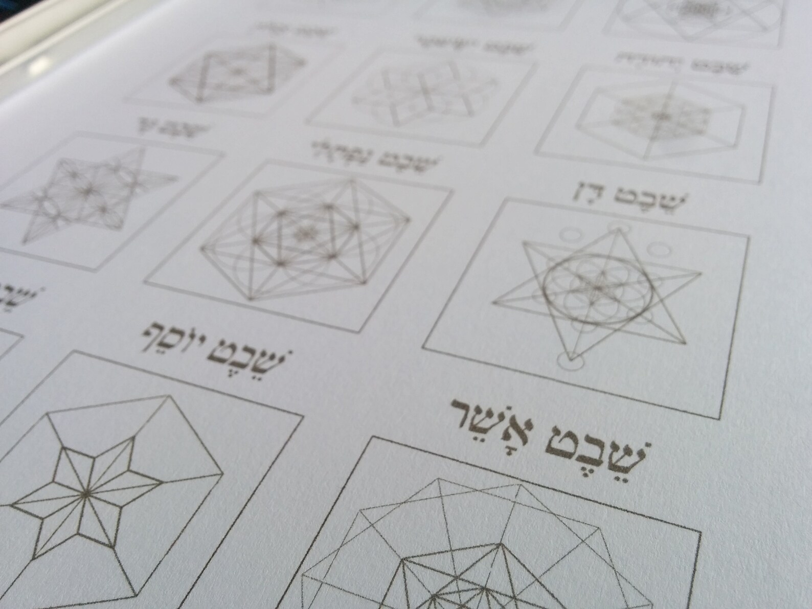 The Twelve Tribes of Israel-12 Tribes-the Hebrew People-hoshen Priestly ...