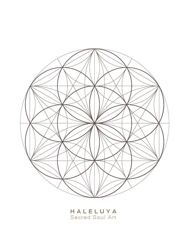 The Seed of Life Coloring Book - the Sacred Soul Art Series - Amazon ...