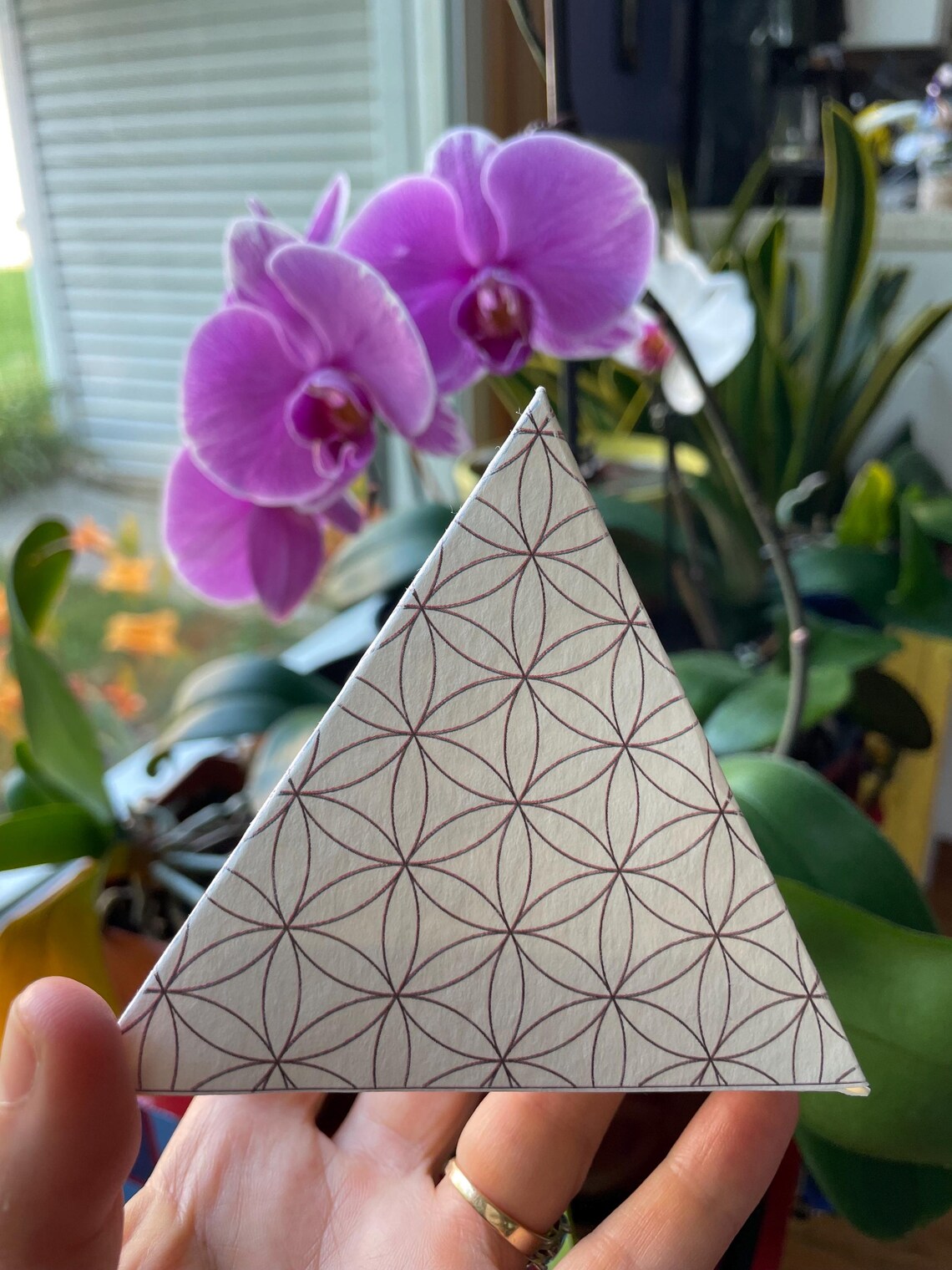 Tetrahedron Paper Craft 3D Template-home Décor Ideas-platonic Solids ...