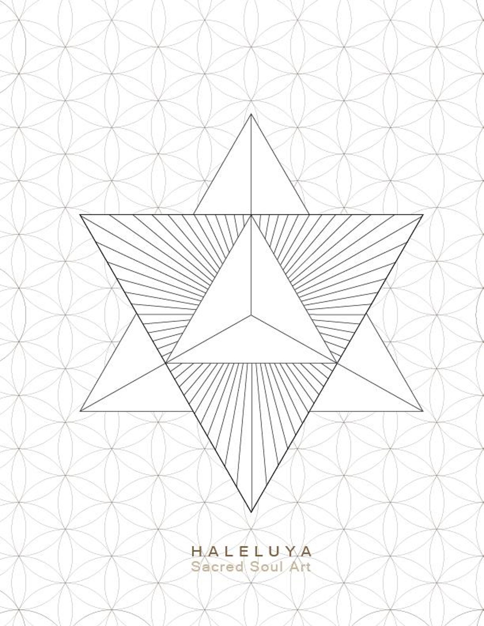 Sacred Geometry Coloring Book-the Sacred Soul Art Series-amazon ...