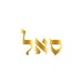 SAL Sa'al סאל-name of God-sacred Torah Letters Gold Print-holy-kabbalah ...