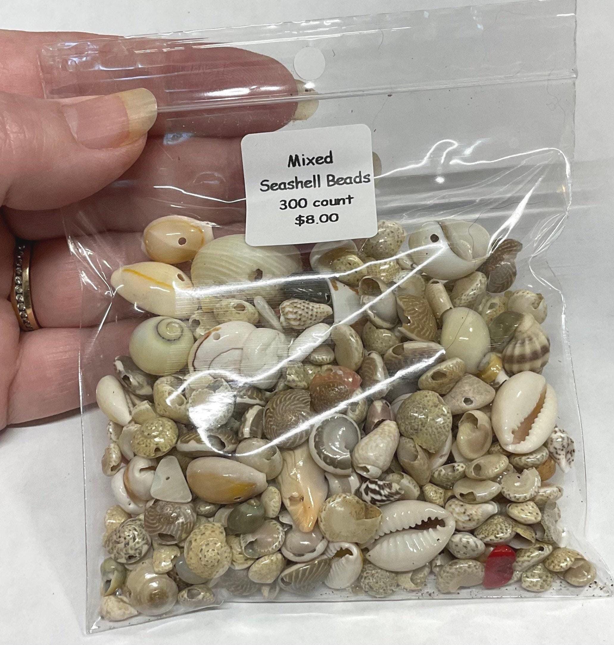 300 Drilled Sea Shell Beads: Natural Jewelry Supplies - Etsy