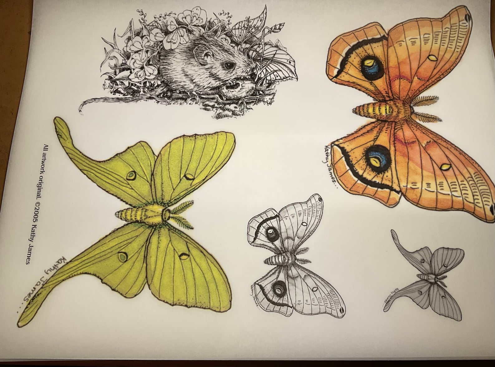 Printed Wood Burning Pyropaper. Animals Arrowheads Moths | Etsy