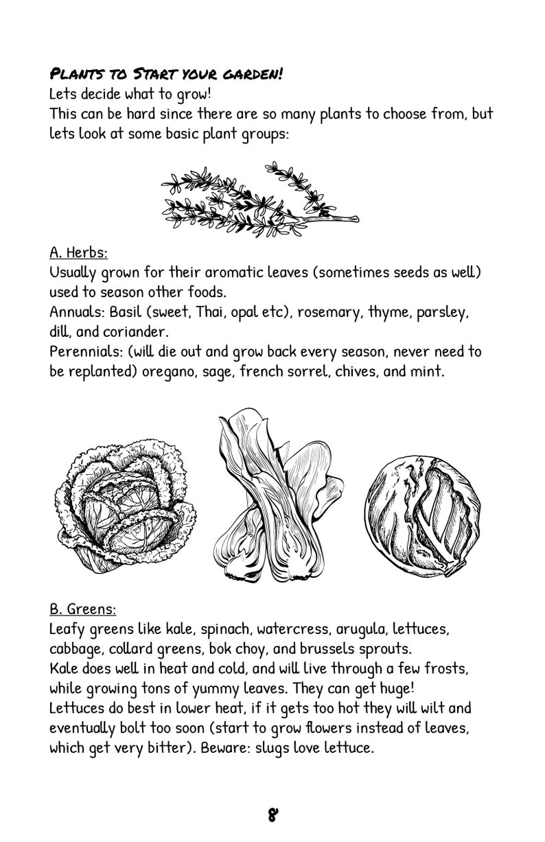 Digital Version - Edible Gardening for Beginners Zine! - Etsy