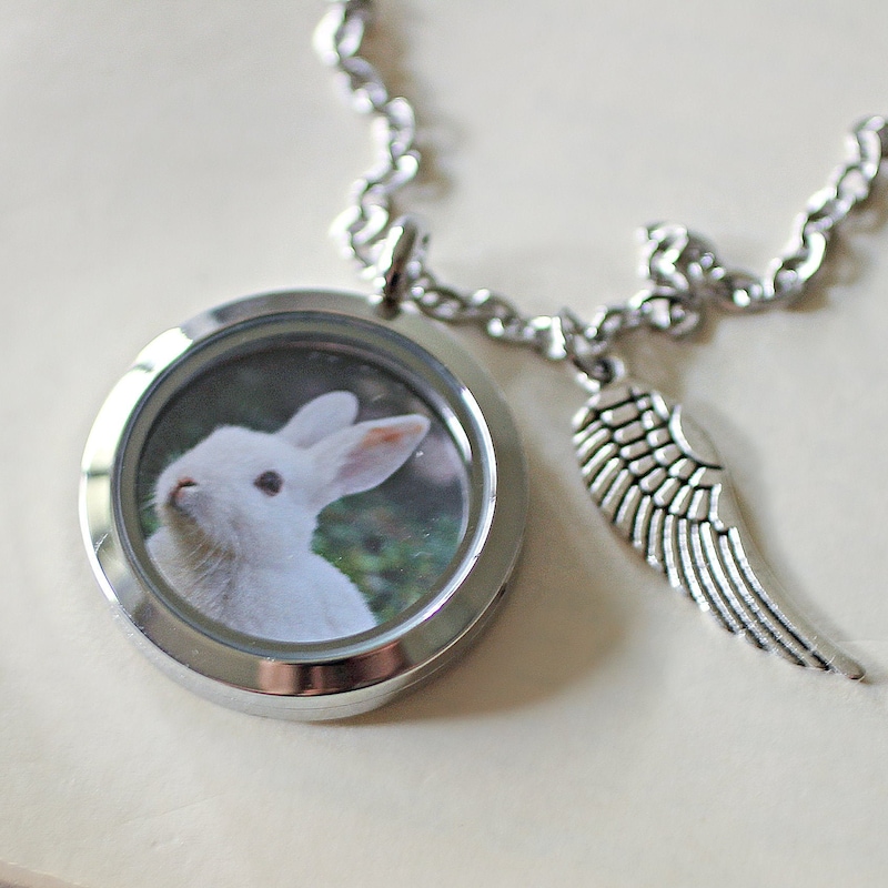 Bunny Locket - Etsy