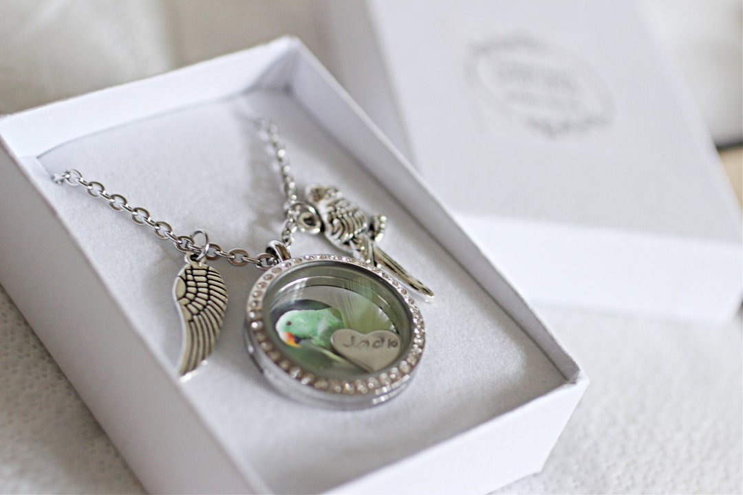 Parrot Memorial Necklace: Feather Keepsake Locket, Bird Urn Jewelry - Etsy