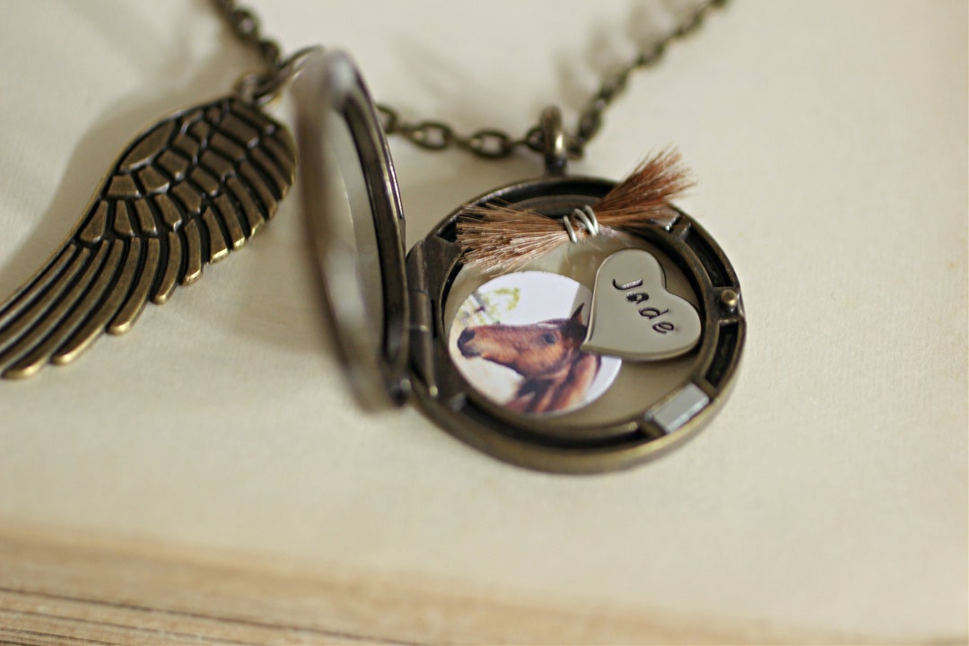 Custom Photo Horse Hair Locket Necklace, Pet Memorial Gift, Horse Hair ...