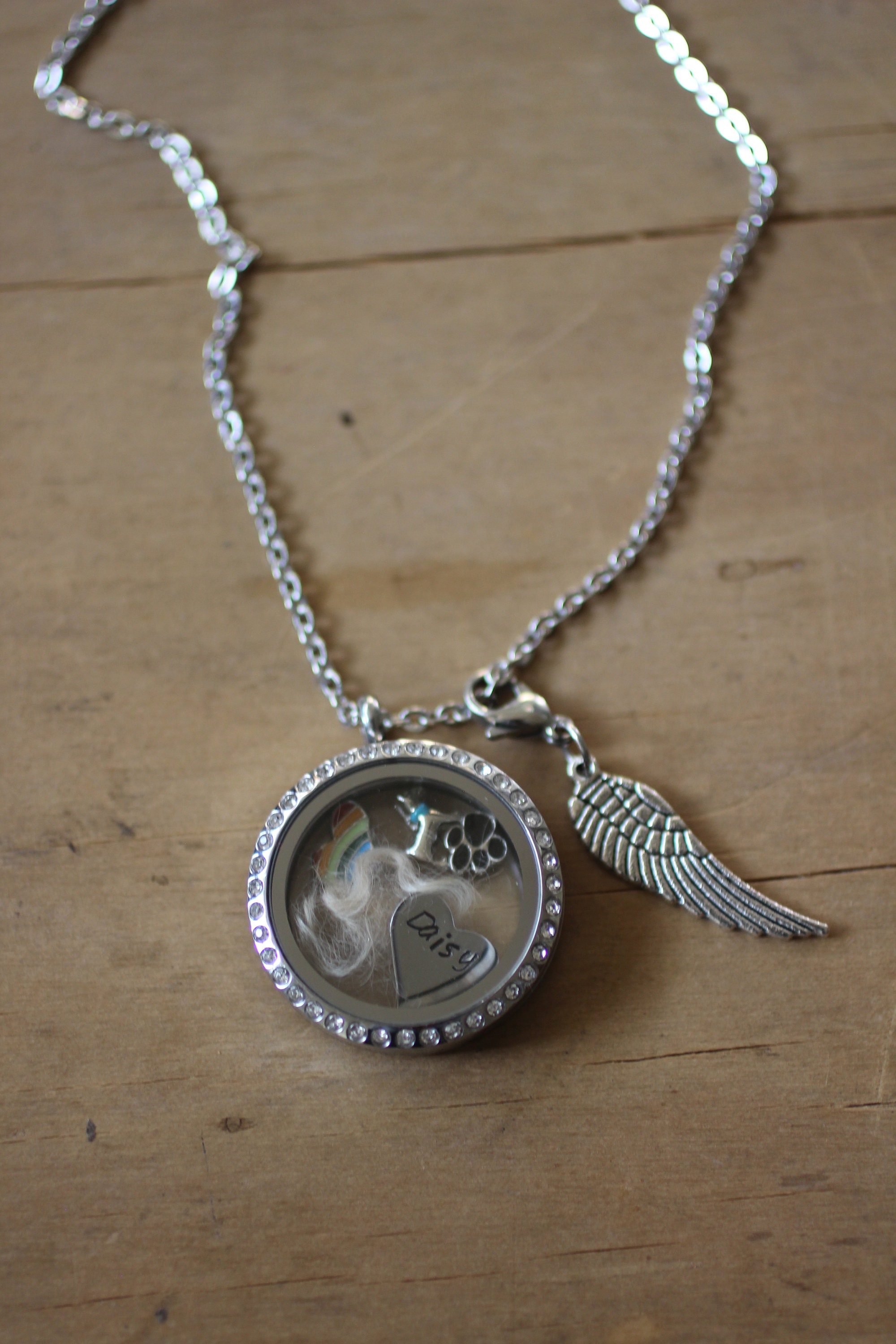 Pet Hair Locket Pet Hair Keepsake Pet Memorial Jewelry Dog - Etsy Australia