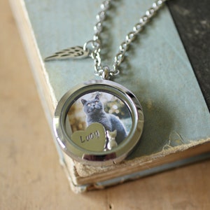 Personalised Cat Memorial Necklace, Cat Fur Keepsake, Cat Locket ...